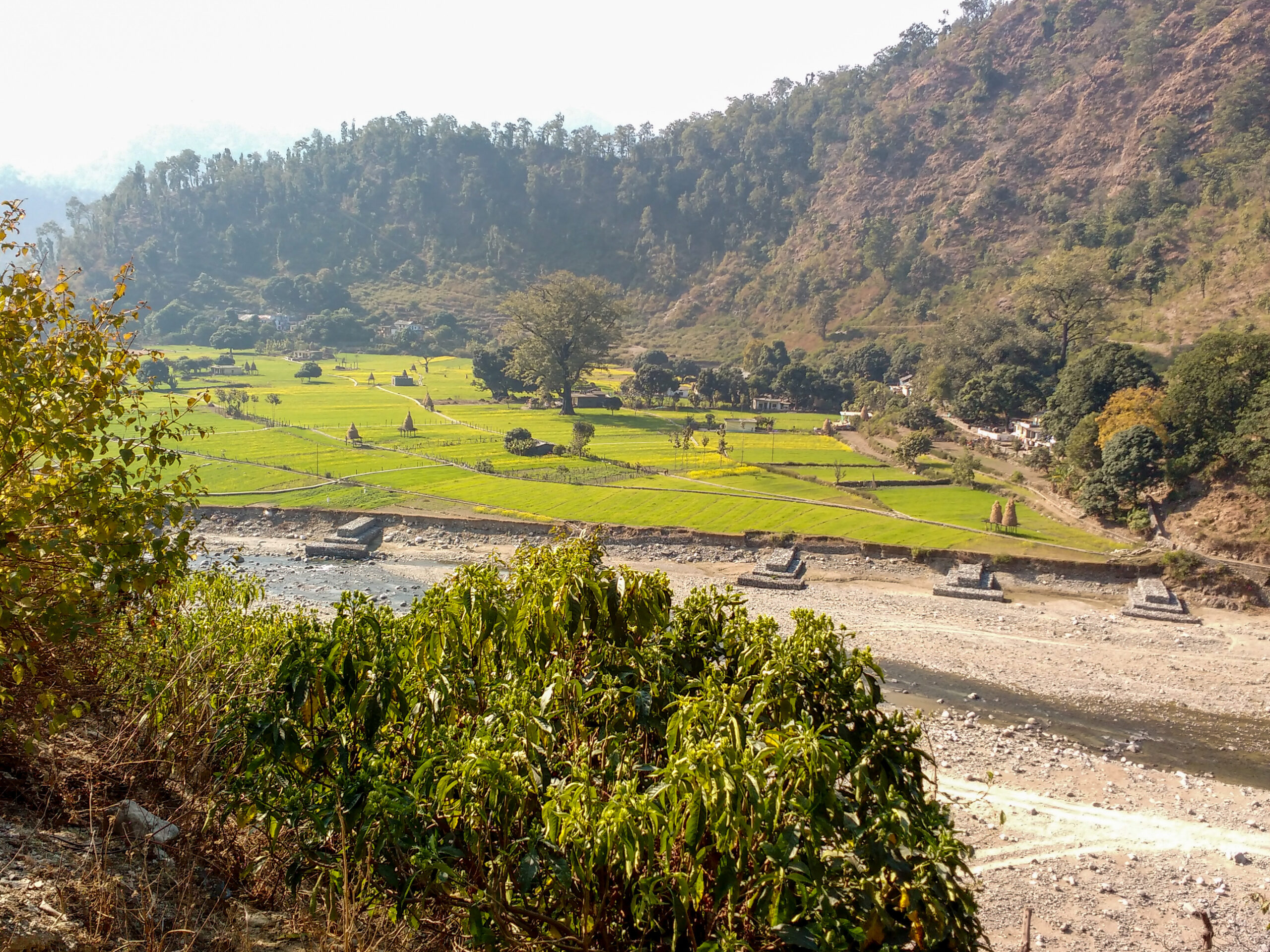 Nature Village – Nature’s Abode